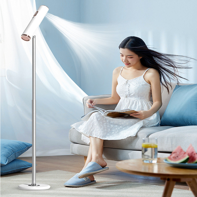 New vertical negative ion high-speed hair dryer with high power and low ...